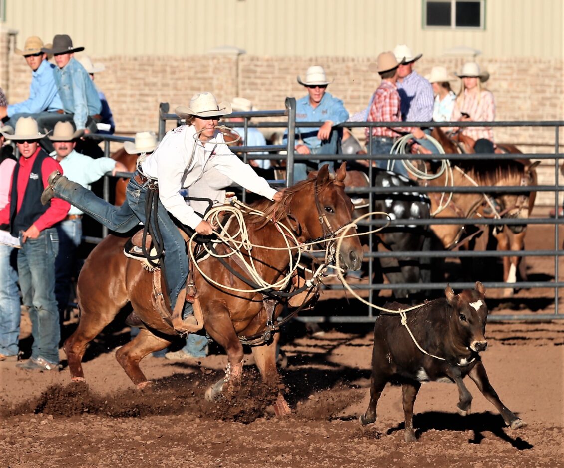 Jaden Tree heads to National High School Rodeo | News, Sports, Jobs ...